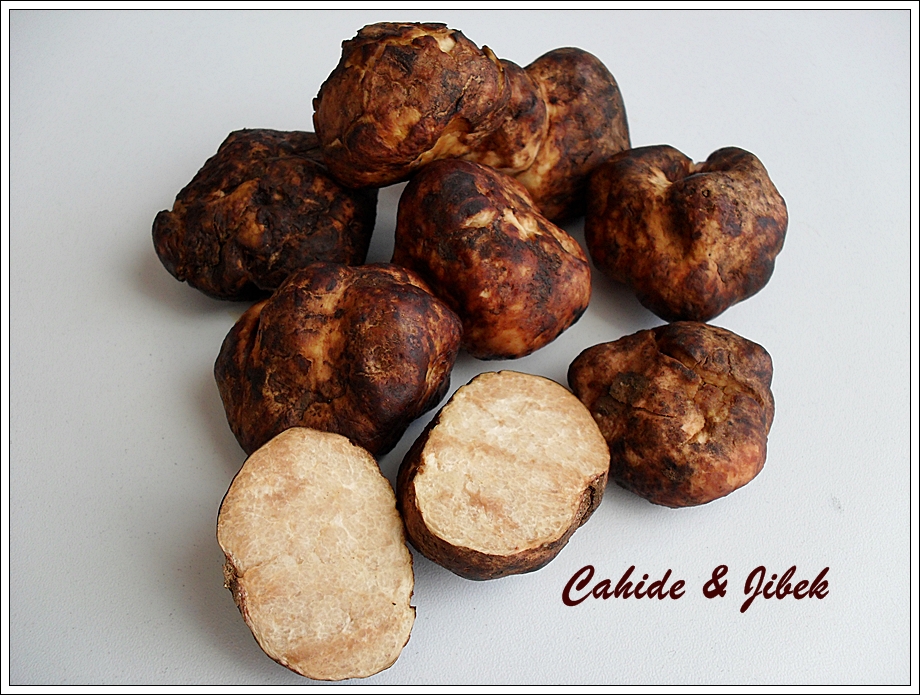 Domalan mantarı(keme) – Cahide Sultan بِسْمِ اللهِ الرَّحْمنِ الرَّحِيمِ