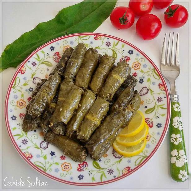 Labada /Efelek Sarması – Cahide Sultan بِسْمِ اللهِ الرَّحْمنِ الرَّحِيمِ