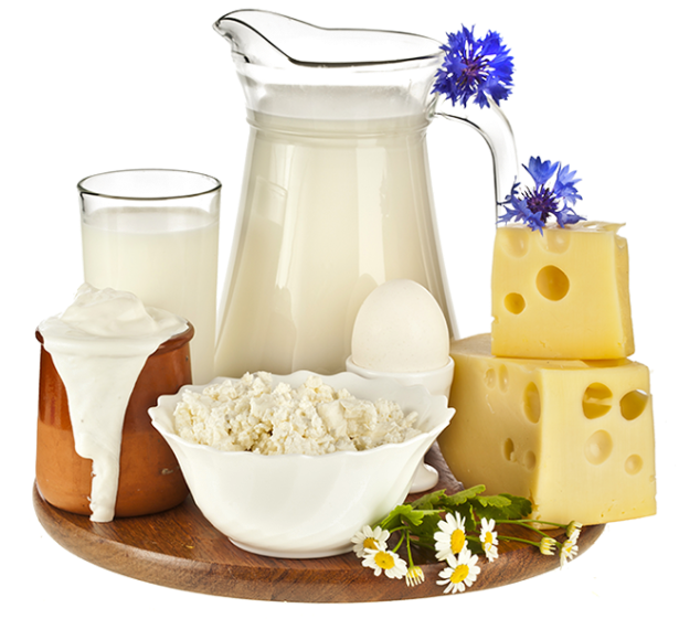 Brusella Hastalığı Nedir ve Tedavisi Nasıl Olur? – Cahide Sultan بِسْمِ ...